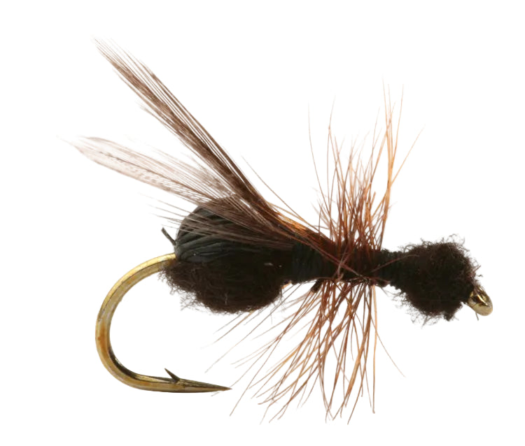 Flying Ant | Flyvemaur sort - Alt til Fluefiske